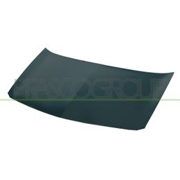 PRASCO Motorhaube rn4203100 f&uuml;r RENAULT