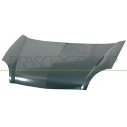 PRASCO Motorhaube rn9173100 f&uuml;r RENAULT