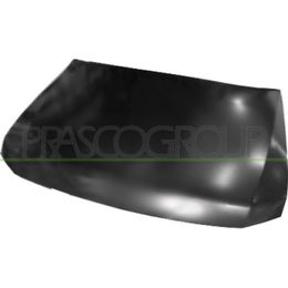 PRASCO Motorhaube mb1623100 f&uuml;r MITSUBISHI