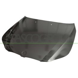 PRASCO Motorhaube bm0463130 f&uuml;r BMW