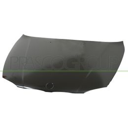 PRASCO Motorhaube bm1203130 f&uuml;r BMW