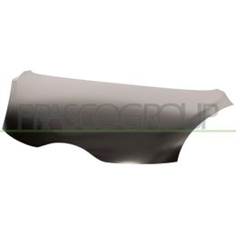 PRASCO Motorhaube ci2043100 f&uuml;r Citro&euml;n