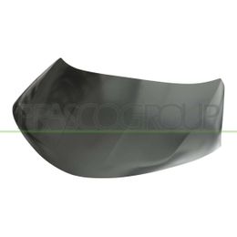 PRASCO Motorhaube ty2913130 f&uuml;r TOYOTA