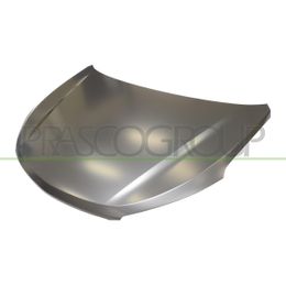 PRASCO Motorhaube hn8193100 f&uuml;r HYUNDAI