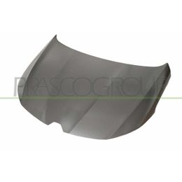 PRASCO Motorhaube rn4303100 f&uuml;r RENAULT