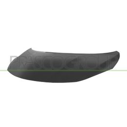 PRASCO Motorhaube ds3543100 f&uuml;r NISSAN