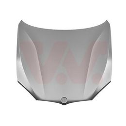 Van Wezel Motorhaube 0690660 f&uuml;r BMW