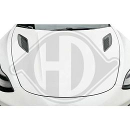 DIEDERICHS Motorhaube 7930100 vorne