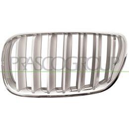 PRASCO K&uuml;hlergitter bm8032014 links f&uuml;r BMW