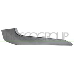 PRASCO Zier-/Schutzleiste, Sto&szlig;f&auml;nger mb8261244 unten f&uuml;r MITSUBISHI