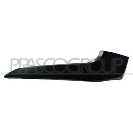 PRASCO Zier-/Schutzleiste, Sto&szlig;f&auml;nger mb8261223 unten f&uuml;r MITSUBISHI
