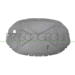 PRASCO Motorraumd&auml;mmung sk0301945 Motorhaube f&uuml;r SKODA
