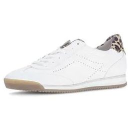 Sneaker Gabor "Sneaker low", Herren, Gr. 40,5, creme, Schuhe Sneaker