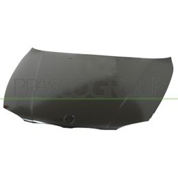 PRASCO Motorhaube bm1203100 f&uuml;r BMW