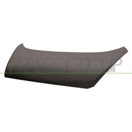 PRASCO Motorhaube ki3303100 f&uuml;r KIA