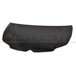 PRASCO Motorhaube ci4253100 f&uuml;r Citro&euml;n