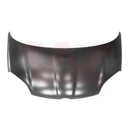 Van Wezel Motorhaube 1607660 f&uuml;r Fiat