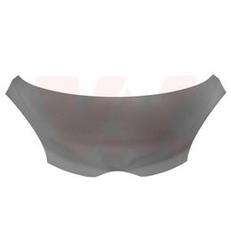 Van Wezel Motorhaube 0907660 f&uuml;r Citro&euml;n/Peugeot