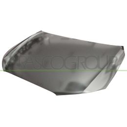PRASCO Motorhaube ad8103100 f&uuml;r Audi