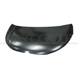 PRASCO Motorhaube ci2063100 f&uuml;r Citro&euml;n