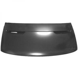 DIEDERICHS Motorhaube 3492000 f&uuml;r IVECO