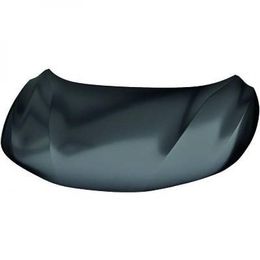 DIEDERICHS Motorhaube 6046800 f&uuml;r NISSAN