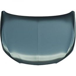 DIEDERICHS Motorhaube 7427000 f&uuml;r SEAT