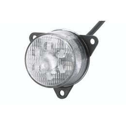 Hella Blinkleuchte 2ba011172011 LED vorne