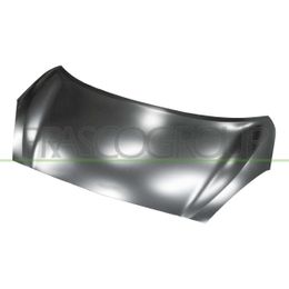 PRASCO Motorhaube ds0153130 f&uuml;r NISSAN