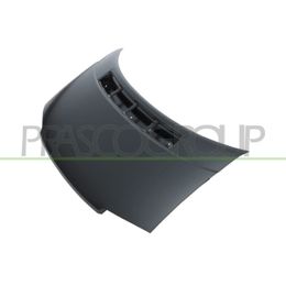 PRASCO Motorhaube vg9133100 f&uuml;r VW