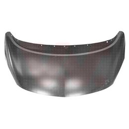 Van Wezel Motorhaube 3860660 f&uuml;r Opel