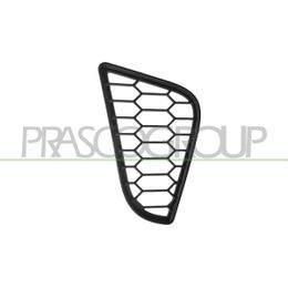 PRASCO L&uuml;ftungsgitter, Sto&szlig;f&auml;nger ah0322133 vorne rechts