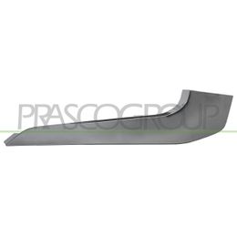 PRASCO Zier-/Schutzleiste, Sto&szlig;f&auml;nger mb8261243 unten f&uuml;r MITSUBISHI