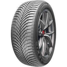 Maxxis Ganzjahresreifen 42290180