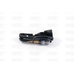 NAP Lambdasonde cls10002