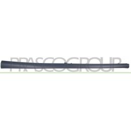 PRASCO Schwellerverkleidung ad3241404 links f&uuml;r Audi