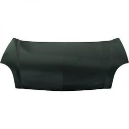 DIEDERICHS Motorhaube 4413600 f&uuml;r RENAULT