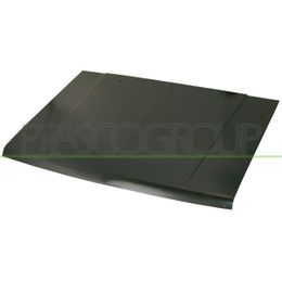 PRASCO Motorhaube mb8103100 f&uuml;r MITSUBISHI