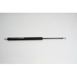 TRISCAN Gasfeder, Koffer-/Laderaum 871016244 f&uuml;r Ford