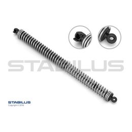 Stabilus Gasfeder, Koffer-/Laderaum set185010773666 f&uuml;r BMW