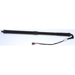 TRISCAN Gasfeder, Koffer-/Laderaum 871029301 f&uuml;r VW