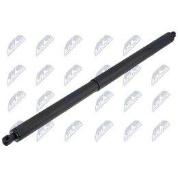 NTY Gasfeder, Koffer-/Laderaum aefr087 f&uuml;r Ford