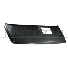 PRASCO Motorhaube ft9253100 f&uuml;r Fiat