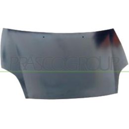 PRASCO Motorhaube ft1383100 f&uuml;r FIAT