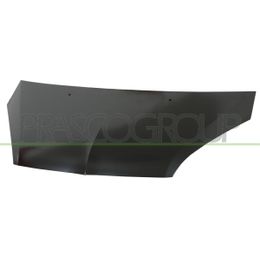 PRASCO Motorhaube mb3243100 f&uuml;r MITSUBISHI