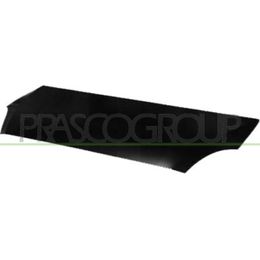 PRASCO Motorhaube ft9273100 f&uuml;r FIAT