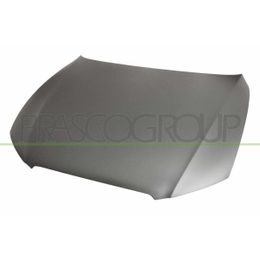 PRASCO Motorhaube ad6203100 f&uuml;r AUDI