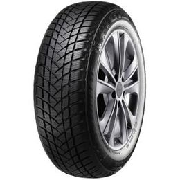 GT RADIAL Winterreifen 100a4951 205/55 R17 95H