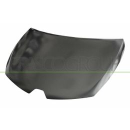 PRASCO Motorhaube rn3293100 f&uuml;r RENAULT