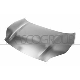 PRASCO Motorhaube ki0253100 f&uuml;r KIA